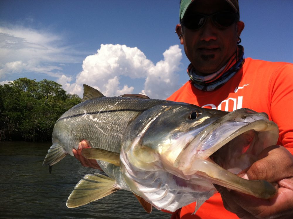Snook Rigging | Snook Stamp Charters