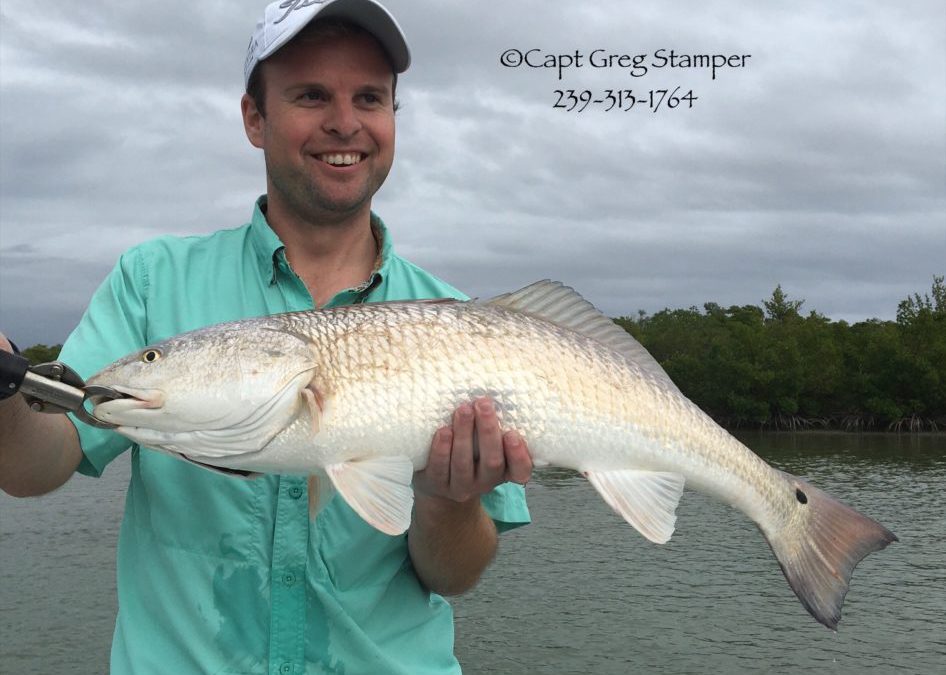 Happy 2020! | Snook Stamp Charters